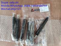 China SDLG injector 4110000991004 /13053066  for Weichai Deutz TD226B WP6G125E22, weichai engine parts for sale for sale