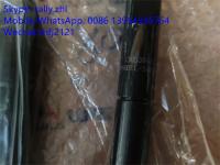 China SDLG injector 4110000991004 /13053066  for Weichai Deutz TD226B WP6G125E22, weichai engine parts for sale for sale