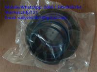 China SDLG sealing ring kit 4120000868101/4120001004101, SDLG  Spare parts for  wheel loader LG936/LG956/L958F/L968F for sale