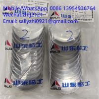 China SDLG bearing shell 4110000991031/13061012 for Weichai Deutz TD226B WP6G125E22, weichai engine parts for sale for sale