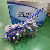 China SDLG INJECTION PUMP 4110002410001/13056020, weichai engine parts for WEICHAI DHB06G0121/ WP6G125E22 Diesel engine for sale