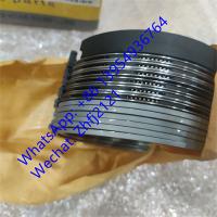 China piston ring kit , 4110000846229,  weichai spare parts for WEICHAI DHB06G0121/ WP6G125E22 Diesel engine (4110000991063) for sale