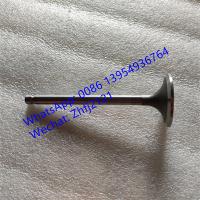 China SDLG INLET VALVE 4110000560145,  yuchai engine parts for yuchai engine YC6B125-T10(B7626) for sale