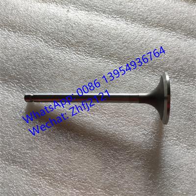 China SDLG INLET VALVE 4110000560145,  yuchai engine parts for yuchai engine YC6B125-T10(B7626) for sale