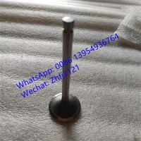 China SDLG INLET VALVE 4110000560145,  yuchai engine parts for yuchai engine YC6B125-T10(B7626) for sale
