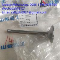 China sdlg Exhaust valve 4110000054215  for Weichai Deutz TD226B WP6G125E22, weichai engine parts for sale for sale