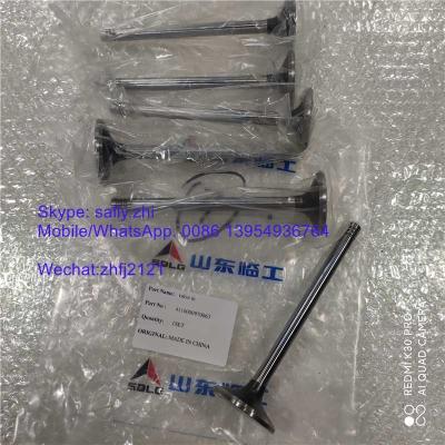 China original weichai  valve in  4110000970063, main engine parts  for excavator LG6250E for sale for sale