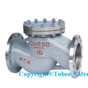 China Ductile Iron Cast Iron Flanged Swing Check Valve for sale