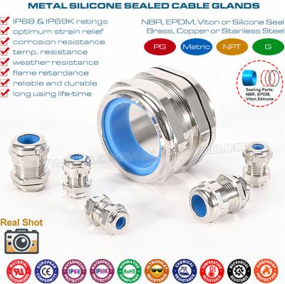 China Adjustable PG Brass Cable Glands, IP68 Watertight Copper Cable Glands with Heat-proof Blue Silicone Seals & O-rings for sale
