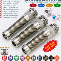 China AISI 316L, AISI 316, AISI 304 Stainless Steel Metal PG Flexible Cable Gland (IP68) with Additional Spiral Strain Relief, for sale