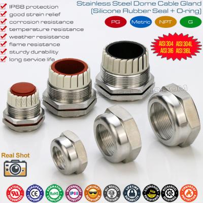China IP68 Hermetic Cable Glands Sealing Connectors Stainless Steel AISI 304 & AISI 316 with PG or Metric Thread for sale