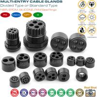 China Multi-hole (Multi-entry) Plastic IP68 Cable Glands with PG & Metric Threads for Electrical Enclosures for sale