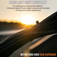 China Nylon (PA) 12 UV-Resistant Cable Zip Tie 300mm x 4.8 (Ø 3-80mm), Excellent Salt & Chemical Resistance, for Solar Photovoltaic Industry for sale