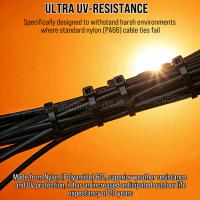 China Nylon 612 (Polyamide 612) UV Shield Cable Tie 200mm x 4.8 (Ø 3-50mm), Weather & Corrosion Resistance, for Solar Installation for sale
