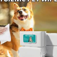 China Deodorize Pet Wet Wipes For Puppies Antibacterial Cat Wet Tissue for sale