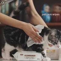 China 80pcs Dog Friendly Wet Wipes No Fragrance No Wash Deodorizing for sale