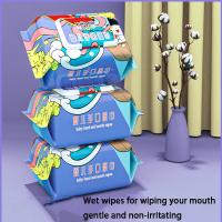 China Infants Newborns Mini Wet Wipes Customized Hypoallergenic Wet Wipes for sale