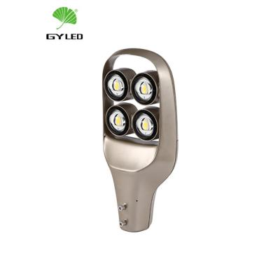 China IP66 Waterproof 50W 150W LED Garden Lighting AC277V Energy Saving Street Light for sale