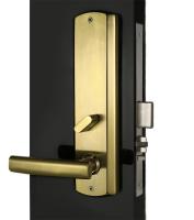China PVD Electronic Security Door Locks / Keyless Entry Door Locks Heavy Duty Handle for sale