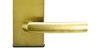 China Hotel Entrance Electronic Gate Lock , Zinc Alloy Electronics Door Lock High Security for sale