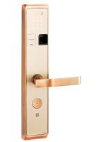 China Digital Biometric Electronic Door Lock Fingerprint / Code / Card / Key Open Way for sale
