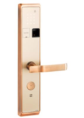 China Digital Biometric Electronic Door Lock Fingerprint / Code / Card / Key Open Way for sale