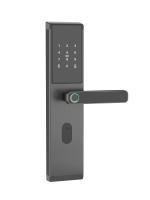 China Home Security Smart Door Lock With Remote Access Voice Control One Administrator User for sale