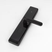 China Digital Fingerprint Smart Door Lock Waterproof Electric With APP TTLOCK BLE Wifi for sale