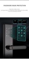 China WiFi TTLOCK Smart Door Lock Biometric Fingerprint Door Handle Digital Keyless Lock for sale