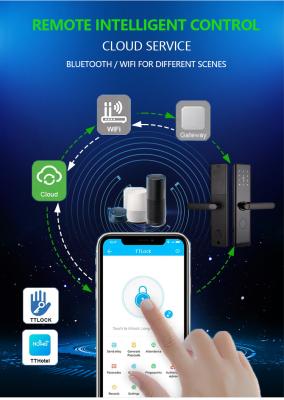 China Biometric Keyless Fingerprint Door Lock Smart For Home Apartments Office Hotel for sale