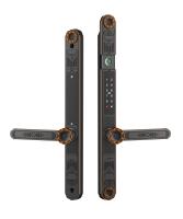China Waterproof IP65 Fingerprint Door Lock For Entry Outside Doors for sale