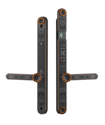 China Waterproof IP65 Fingerprint Door Lock For Entry Outside Doors for sale