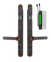 China Double Side Passcode Lock Aluminium Fingerprint For Courtyard OutSide Door for sale