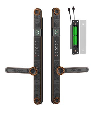 China Double Side Passcode Lock Aluminium Fingerprint For Courtyard OutSide Door for sale