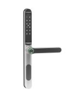 China Bluetooth Passcode WiFi Door Lock Fingerprint Waterproof For Courtyard Outside Door for sale