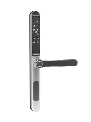 China Bluetooth Passcode WiFi Door Lock Fingerprint Waterproof For Courtyard Outside Door for sale