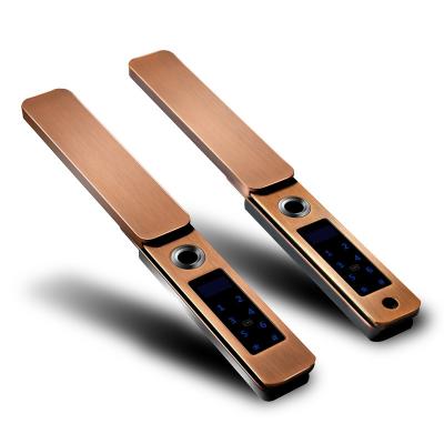 China Courtyard Outside Fingerprint Code WiFi Door Lock Waterproof IP68 Aluminium Alloy for sale