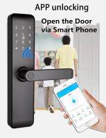 China Painted Bluetooth WiFi RFID Keyless Smart Locks For Apartments Home Entry Door Room Door for sale