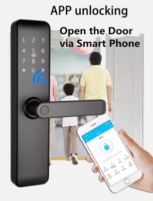 China Painted Bluetooth WiFi RFID Keyless Smart Locks For Apartments Home Entry Door Room Door for sale