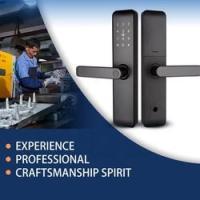 China Painted Bluetooth WiFi RFID Keyless Smart Locks For Apartments Home Entry Door Room Door for sale