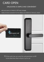 China Painted Bluetooth WiFi RFID Keyless Smart Locks For Apartments Home Entry Door Room Door for sale