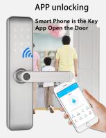 China Bluetooth WiFi RFID Keyless Smart Door Lock For Home Entry Door Room Door for sale