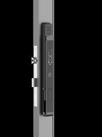 China Alumminum Commercial Smart Lock Facial Recognition Video Cat Eye Palm Vein Unlocking IP65 for sale