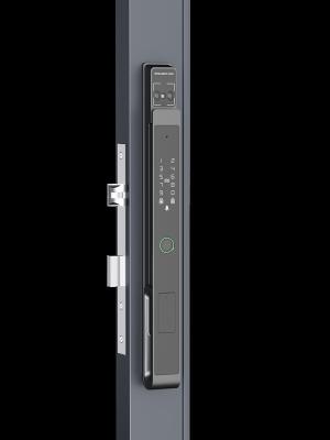 China Black Smart Door Knob Palm Vein / Facial Recognition / Video Cat Eye IP65 for sale
