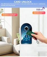 China Rechargeable Lithium Batteries Bluetooth Door Lock Core  Keyless Entry System Mobile App Control for sale