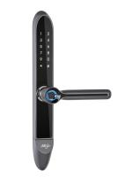 China IP65 Antifreezing Aluminum Frame Fingerprint Glass Door Smart Lock for sale