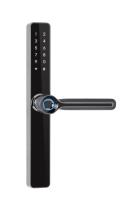 China IP65 Antifreezing Aluminum Frame Fingerprint Glass Door Smart Lock for sale
