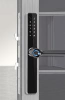 China IP65 Antifreezing Aluminum Frame Fingerprint Glass Door Smart Lock for sale