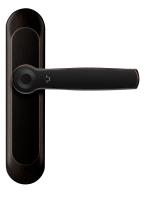 China ROHS Smart Fingerprint Bluetooth Door Lock AI Voice Zinc Alloy Handle for sale