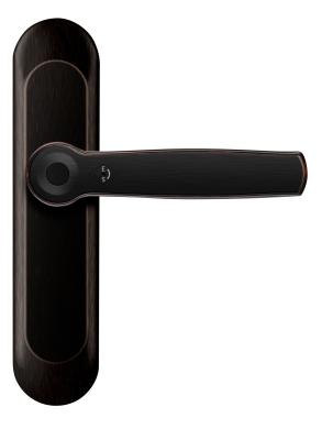 China ROHS Smart Fingerprint Bluetooth Door Lock AI Voice Zinc Alloy Handle for sale